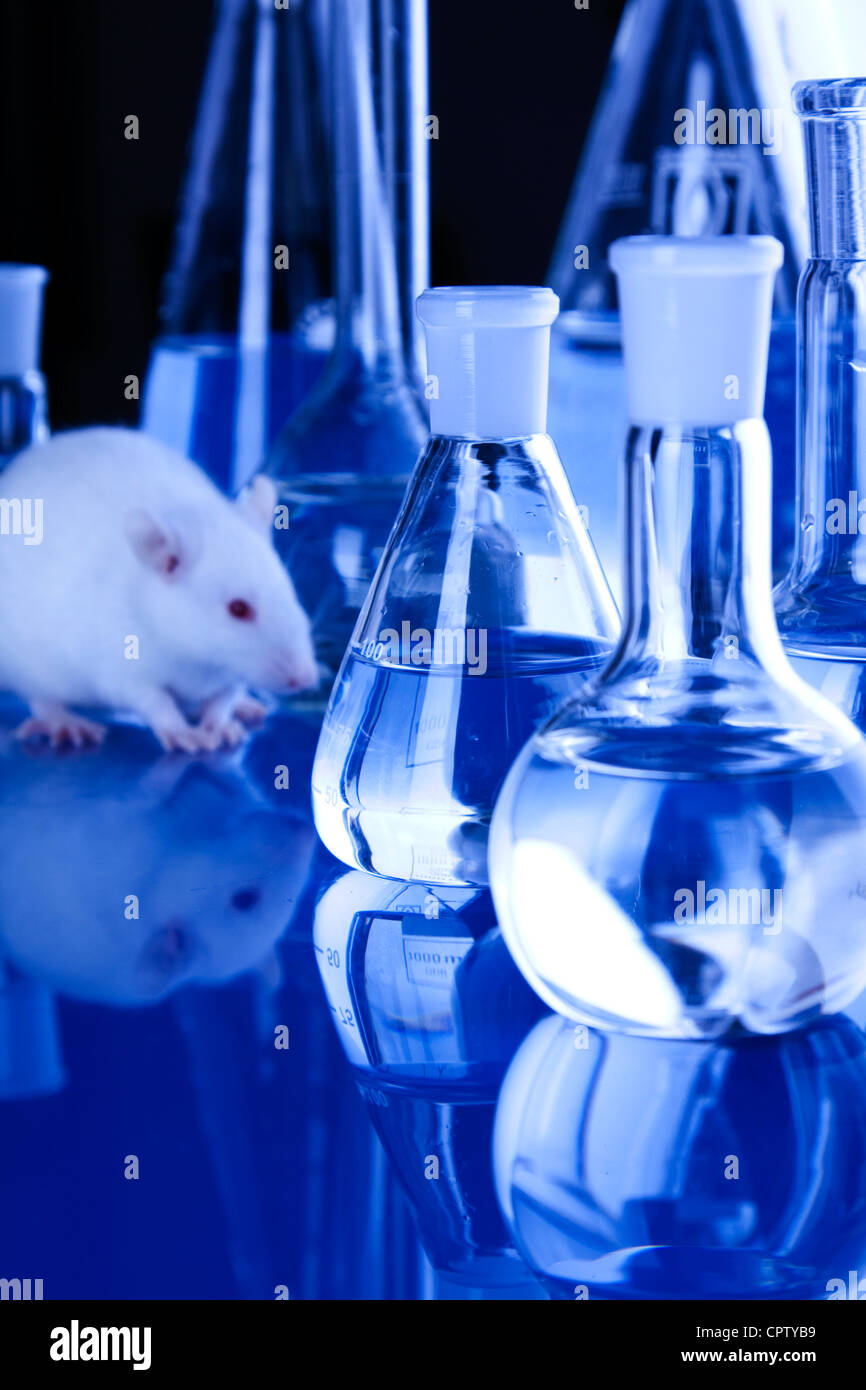 Rat test water hi-res stock photography and images - Alamy