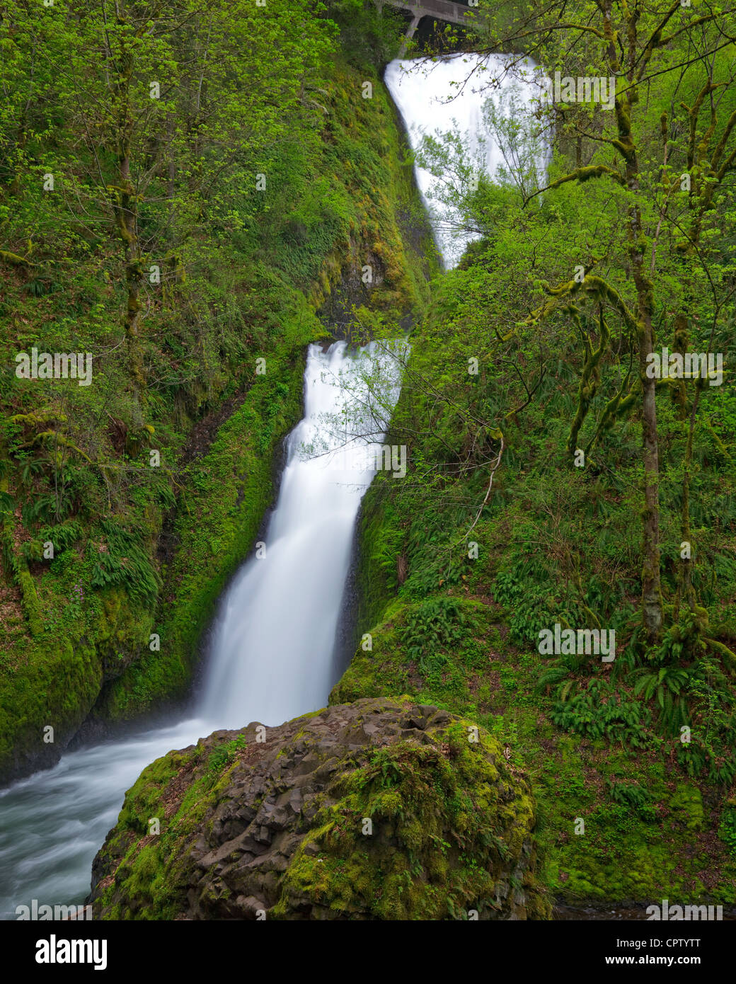 Mount Hood National Forest, OR: Spring flow of Bridal Veil Falls in a ...
