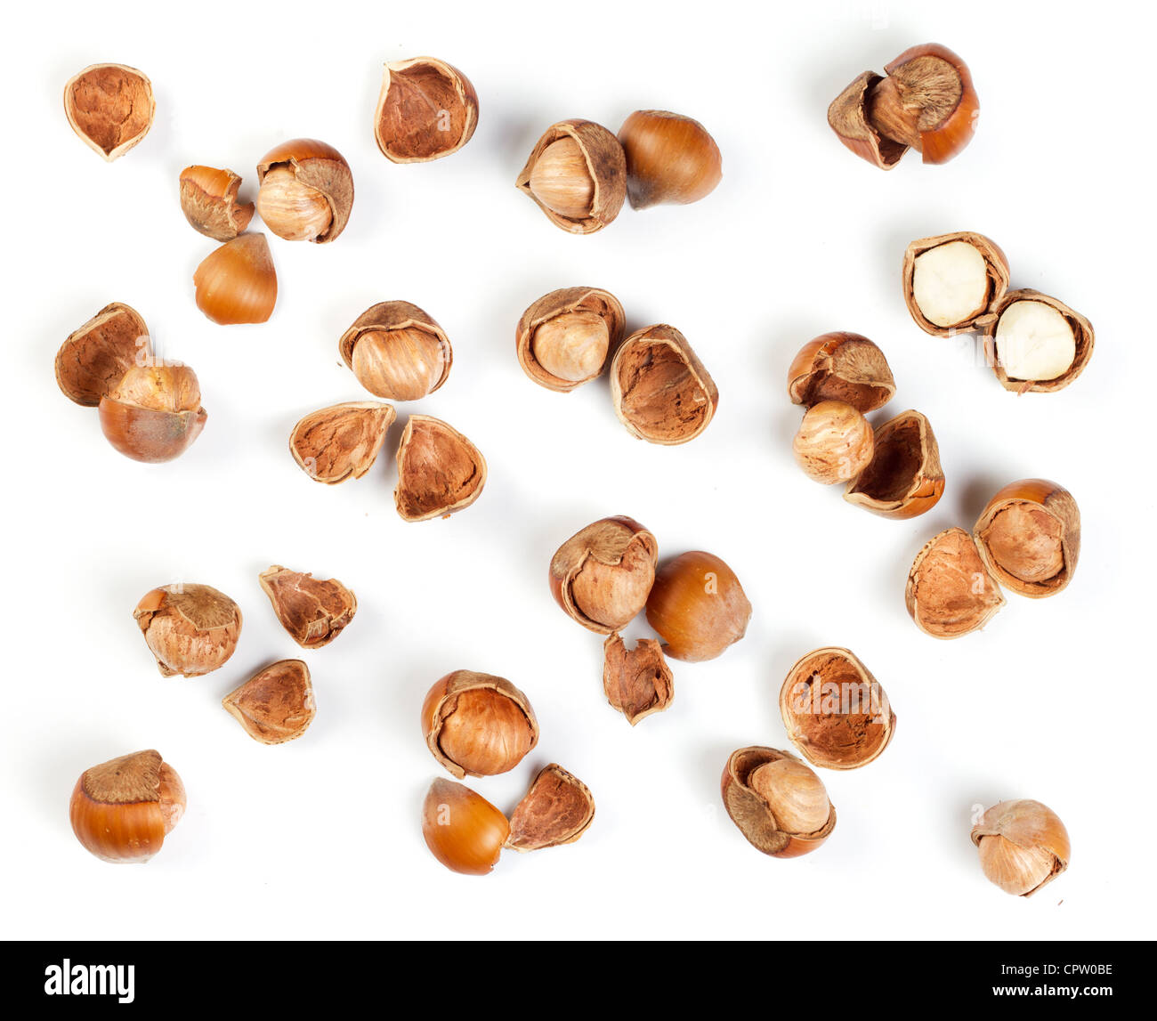 Filbert nut isolated on white background Stock Photo - Alamy