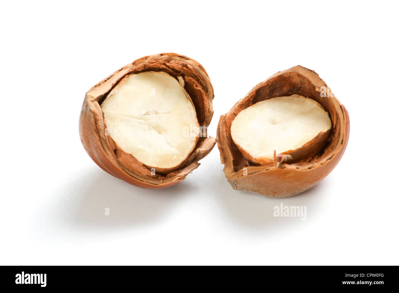 Filbert nut isolated on white background Stock Photo - Alamy