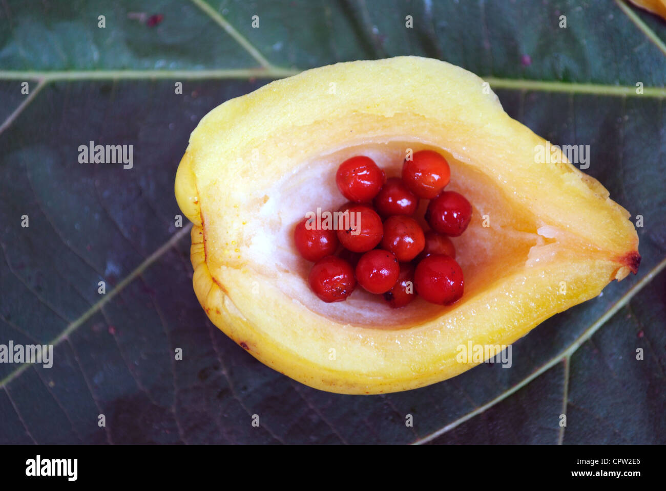 Tamarind fruit india hi-res stock photography and images - Alamy