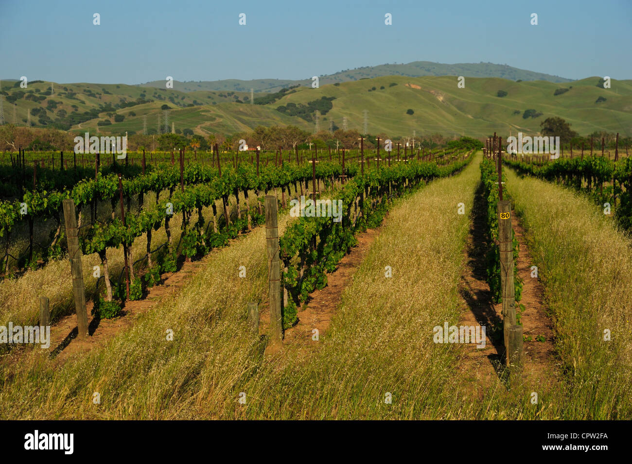 Thomas coyne hi-res stock photography and images - Alamy