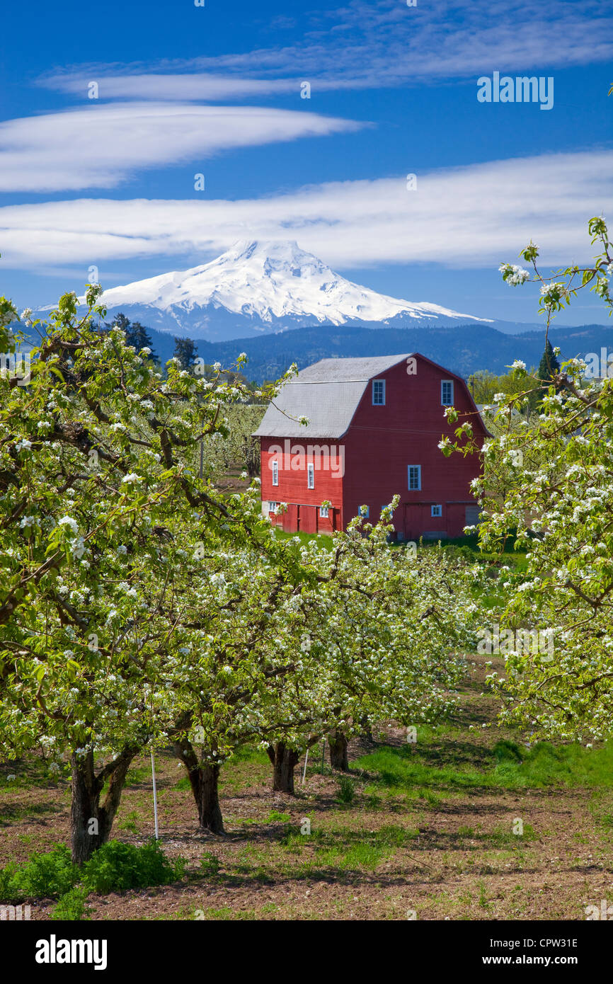 Mt hood red barn hi-res stock photography and images - Alamy