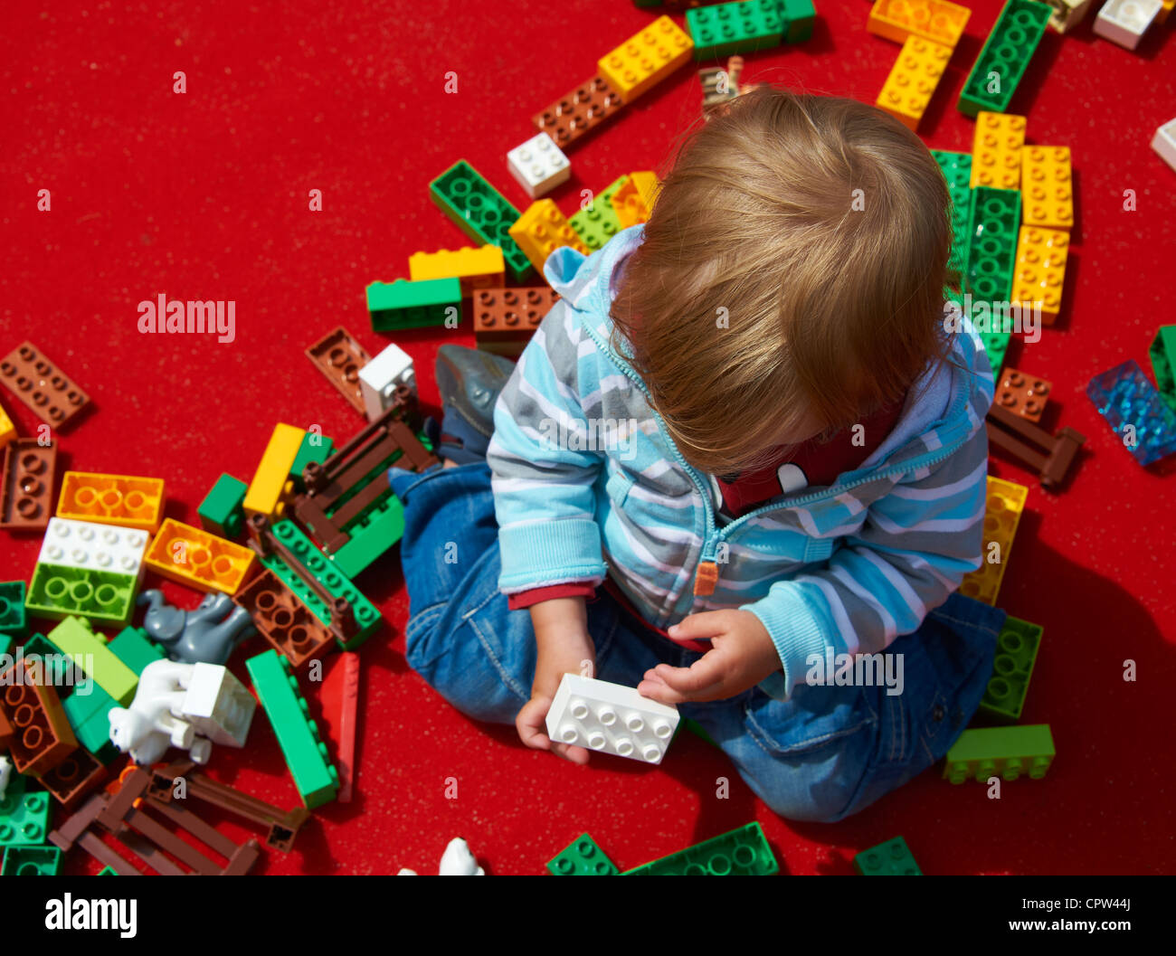 Little Baby Child Girl Playing With Building Blocks on Red Carpet Stock ...
