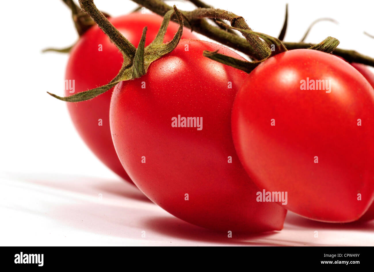 Organic vine-ripened Roma tomatoes on the vine Stock Photo - Alamy
