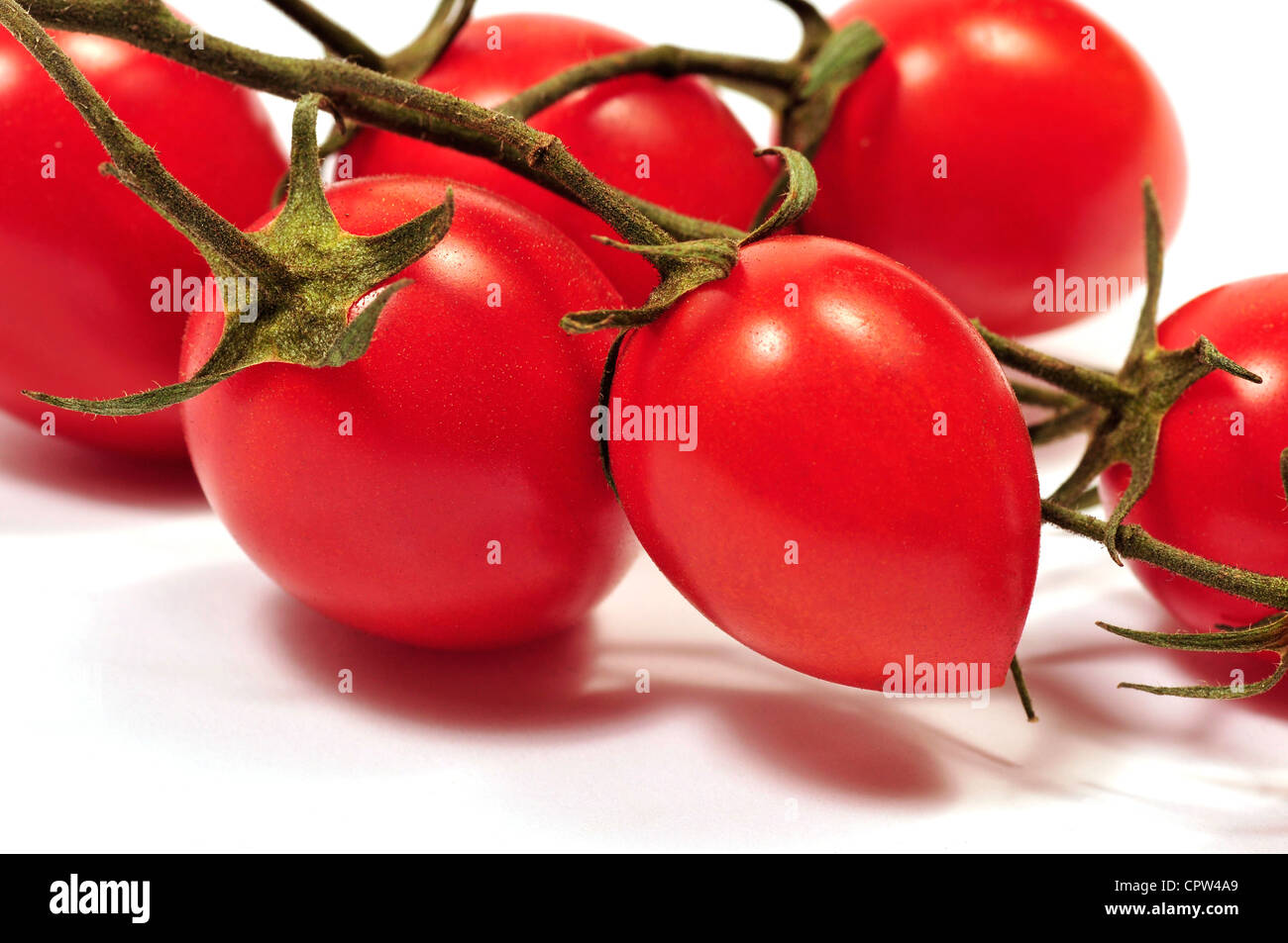 Organic vine-ripened Roma tomatoes on the vine Stock Photo - Alamy