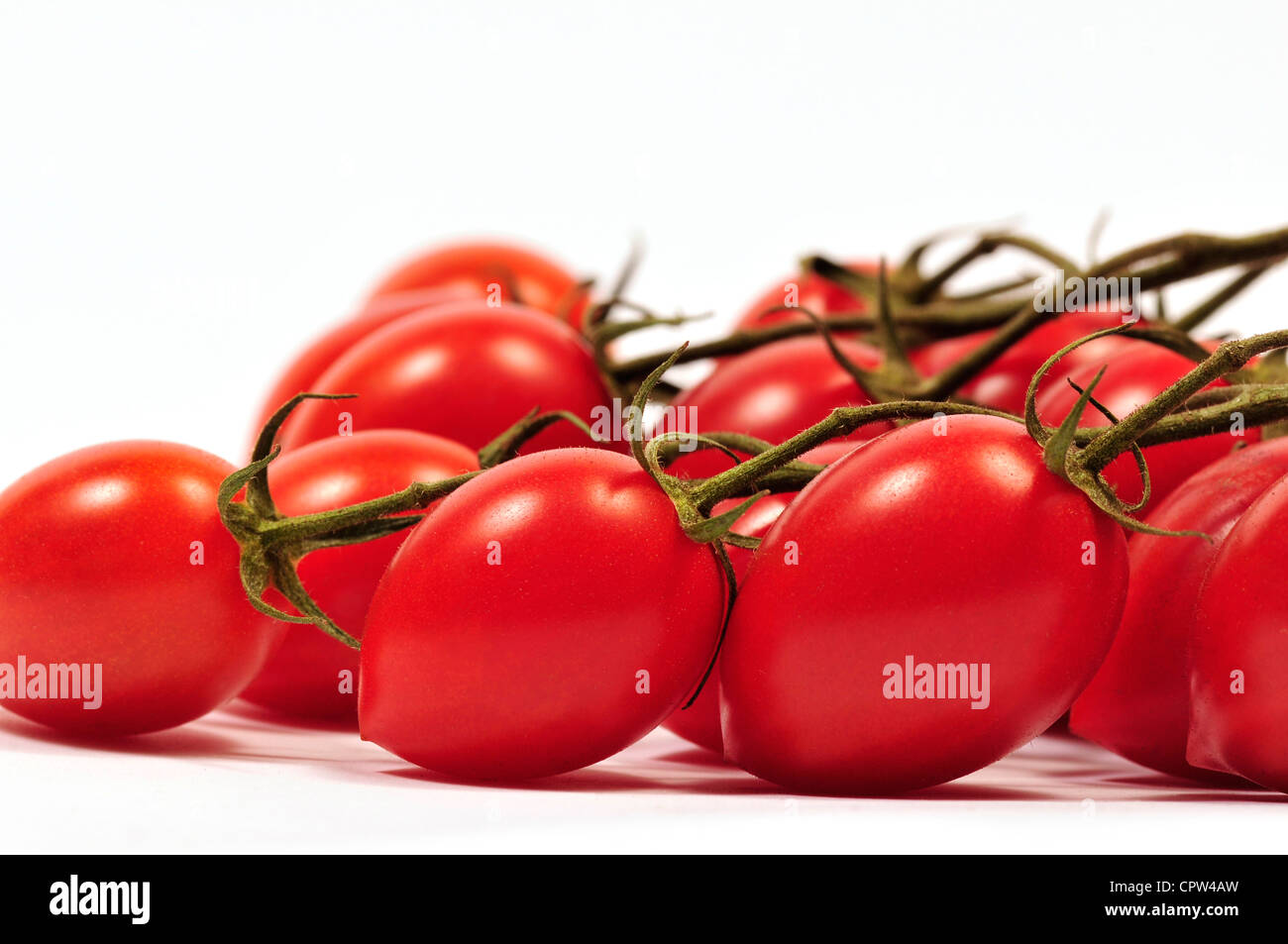 Organic vine-ripened Roma tomatoes on the vine Stock Photo - Alamy