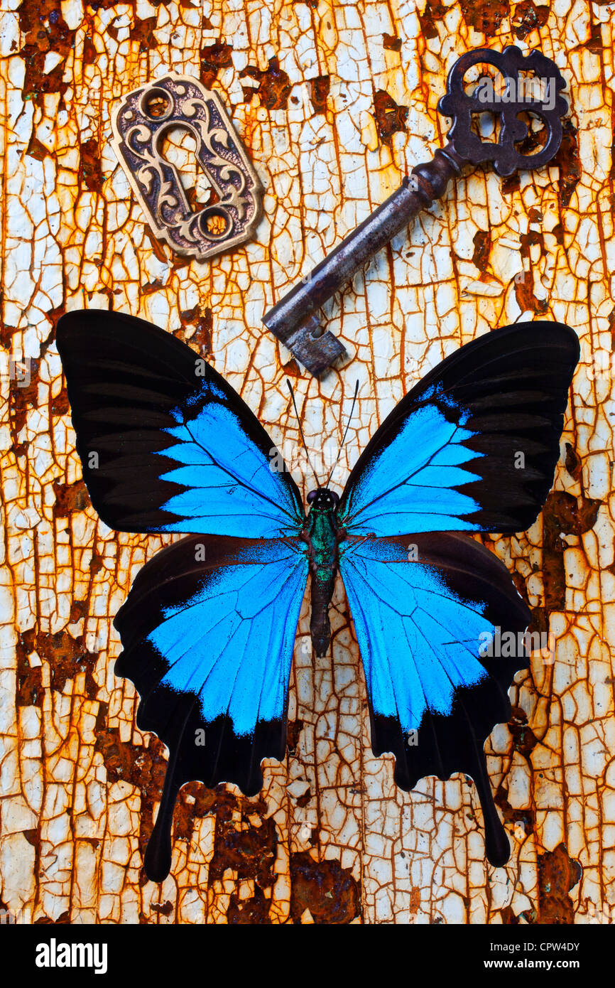 Butterfly and key Stock Photo - Alamy