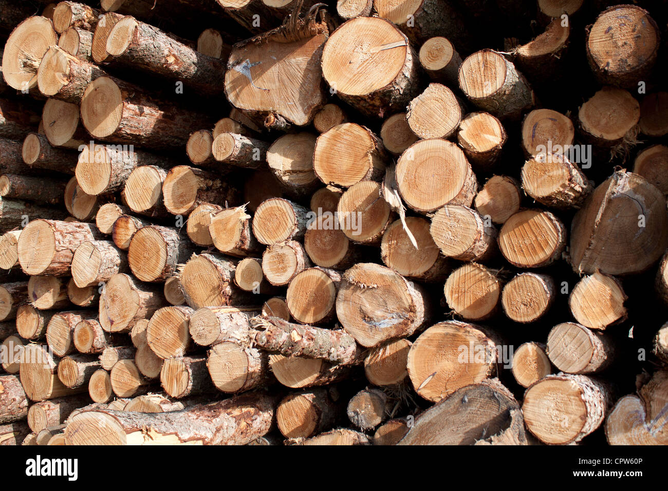 How to cut logs hi-res stock photography and images - Alamy