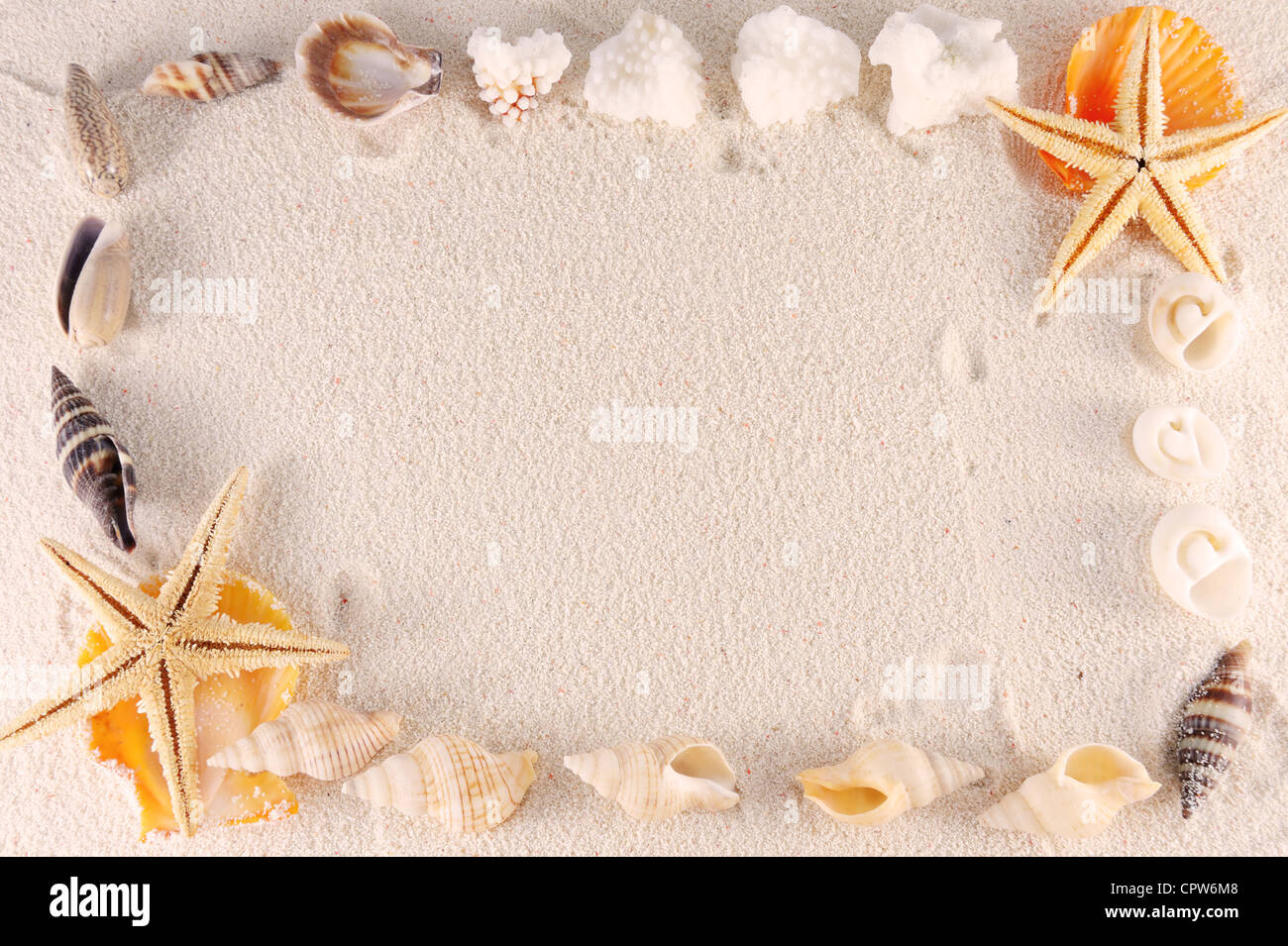 Group of seashells, starfishes on the sand Stock Photo - Alamy