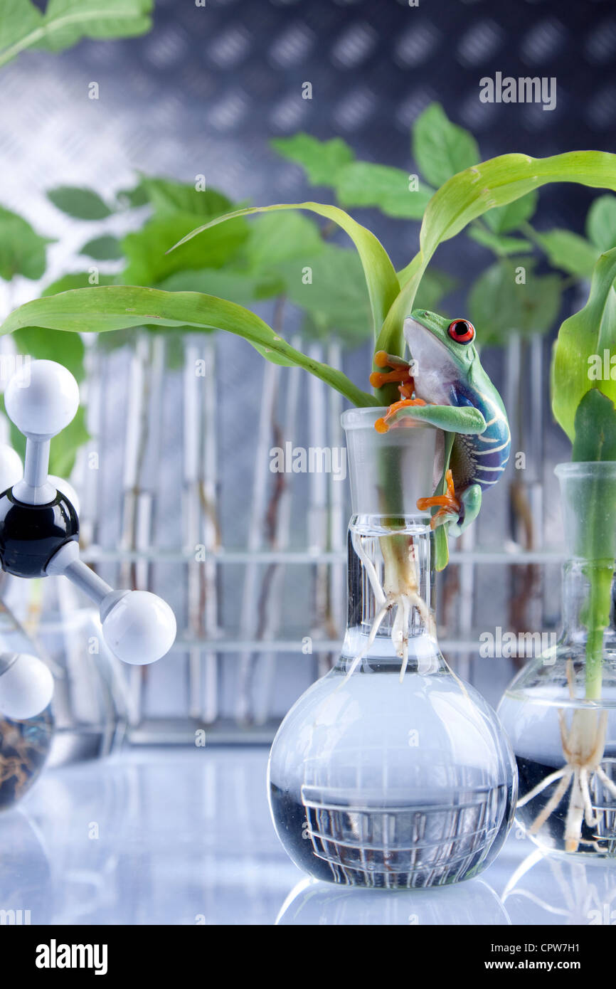 Plants in laboratory Stock Photo - Alamy
