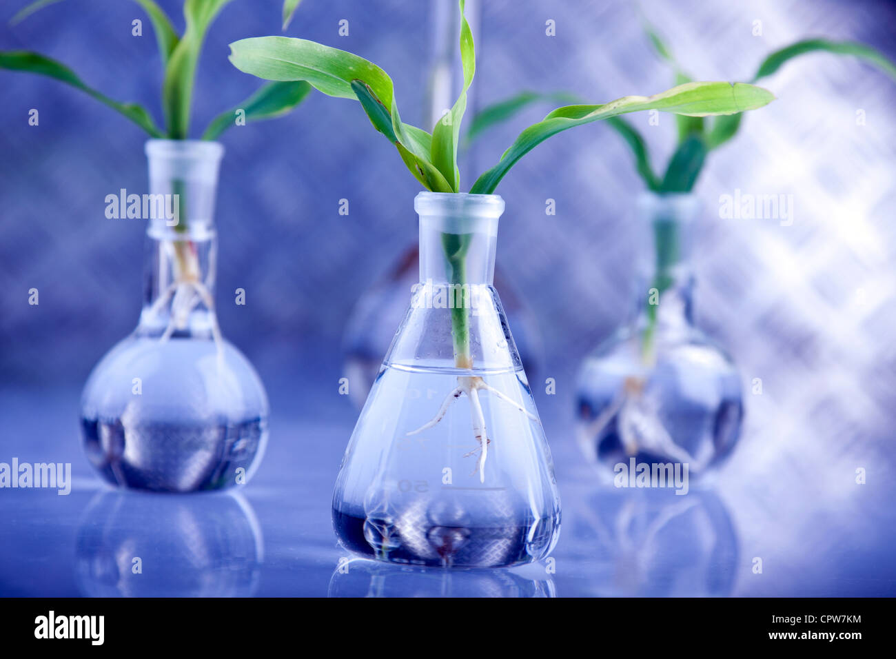 Plants in laboratory Stock Photo - Alamy