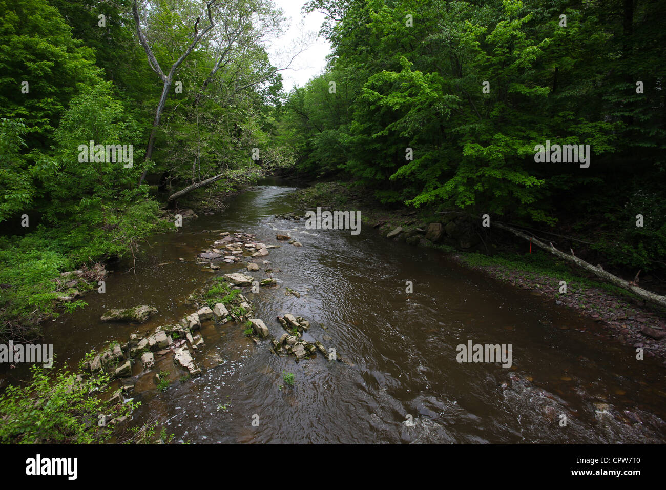 Babbling brook flowing into the Delaware River Stock Photo - Alamy
