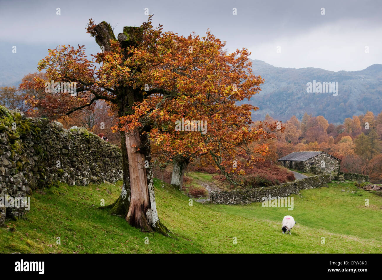 Barn by lake hi-res stock photography and images - Alamy