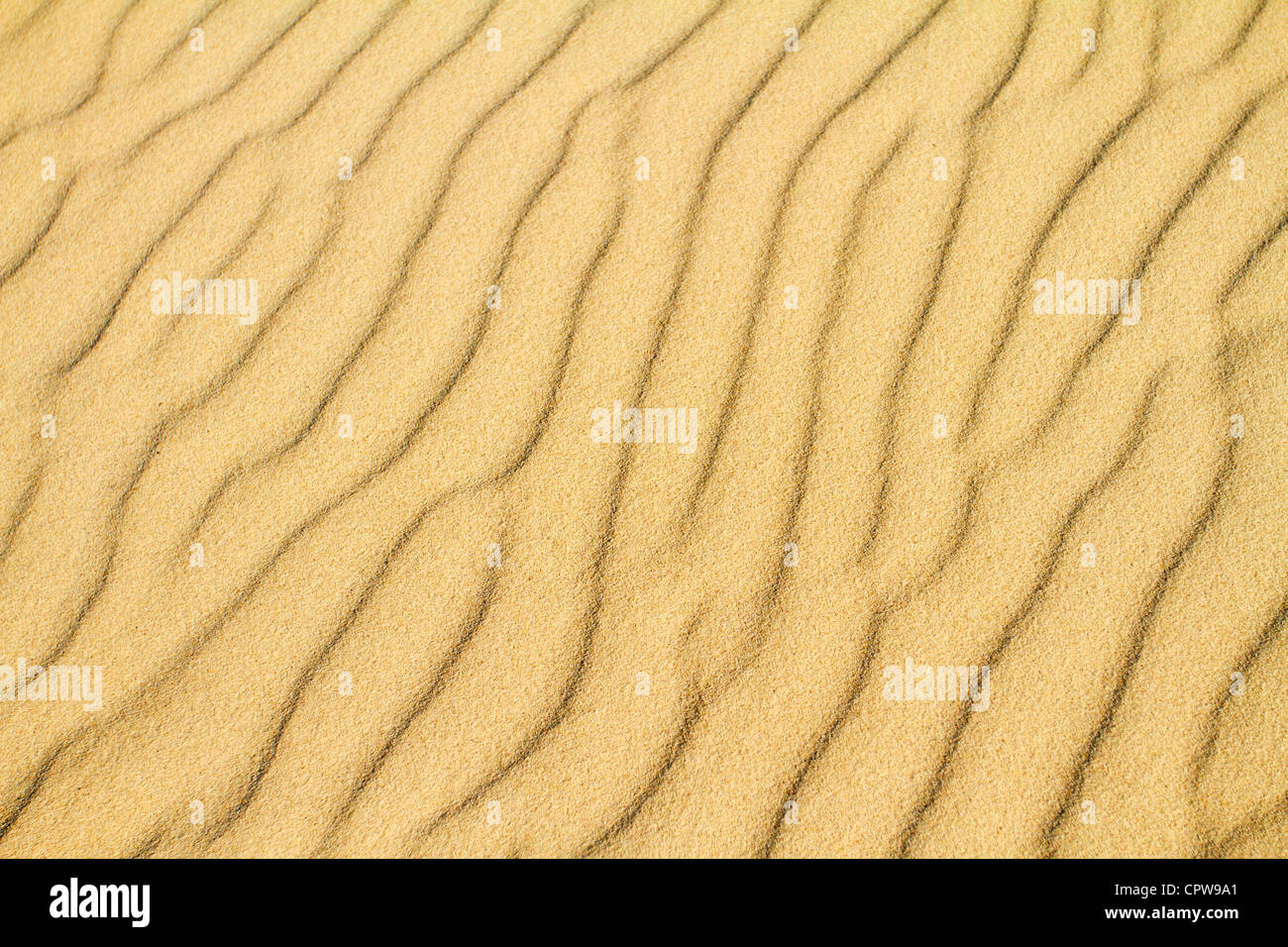 Desert sand background of a Curonian Spit dune Stock Photo - Alamy