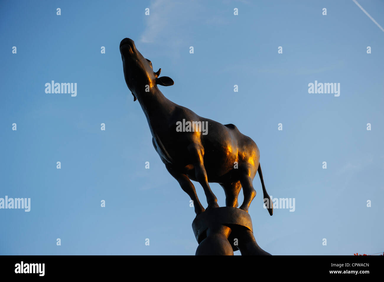 Cow statue Koemarkt Purmerend North Holland, Netherlands Stock Photo ...