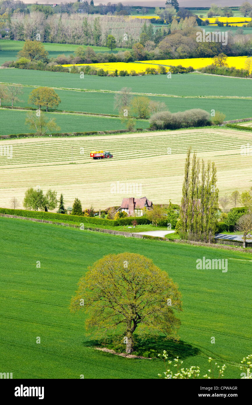 Farmland in springtime, Shropshire, England, UK Stock Photo - Alamy