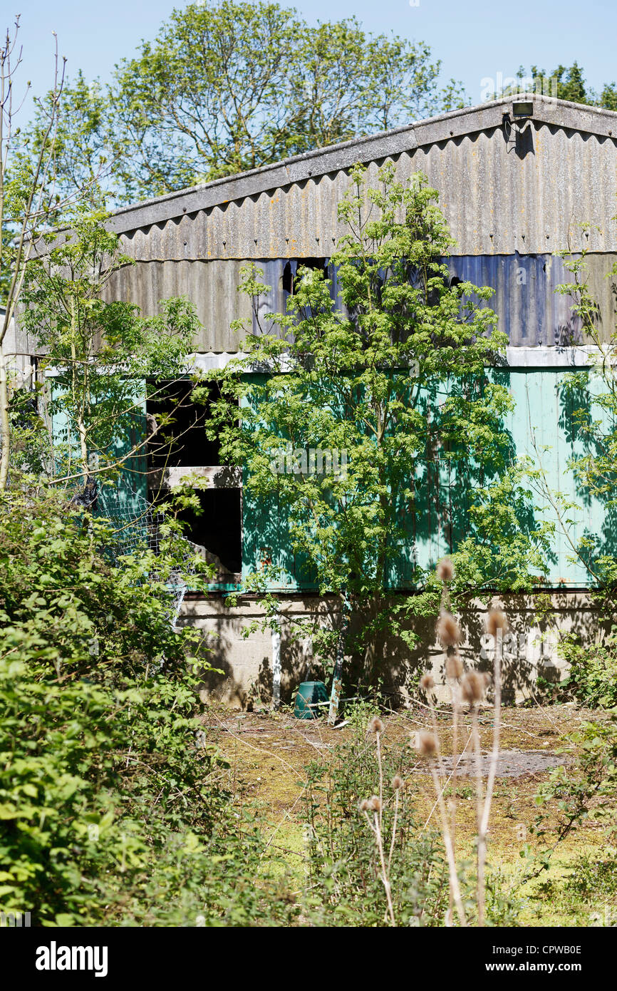 A Derelict and Dilapidated factory situated deep in the Norfolk ...