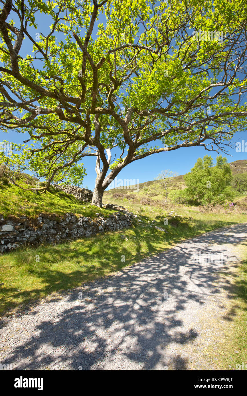 British isles in springtime hi-res stock photography and images - Alamy