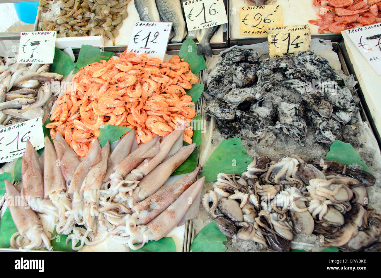 Fish stall with prawn, cuttlefish, squid and octopuss - sestiere ...
