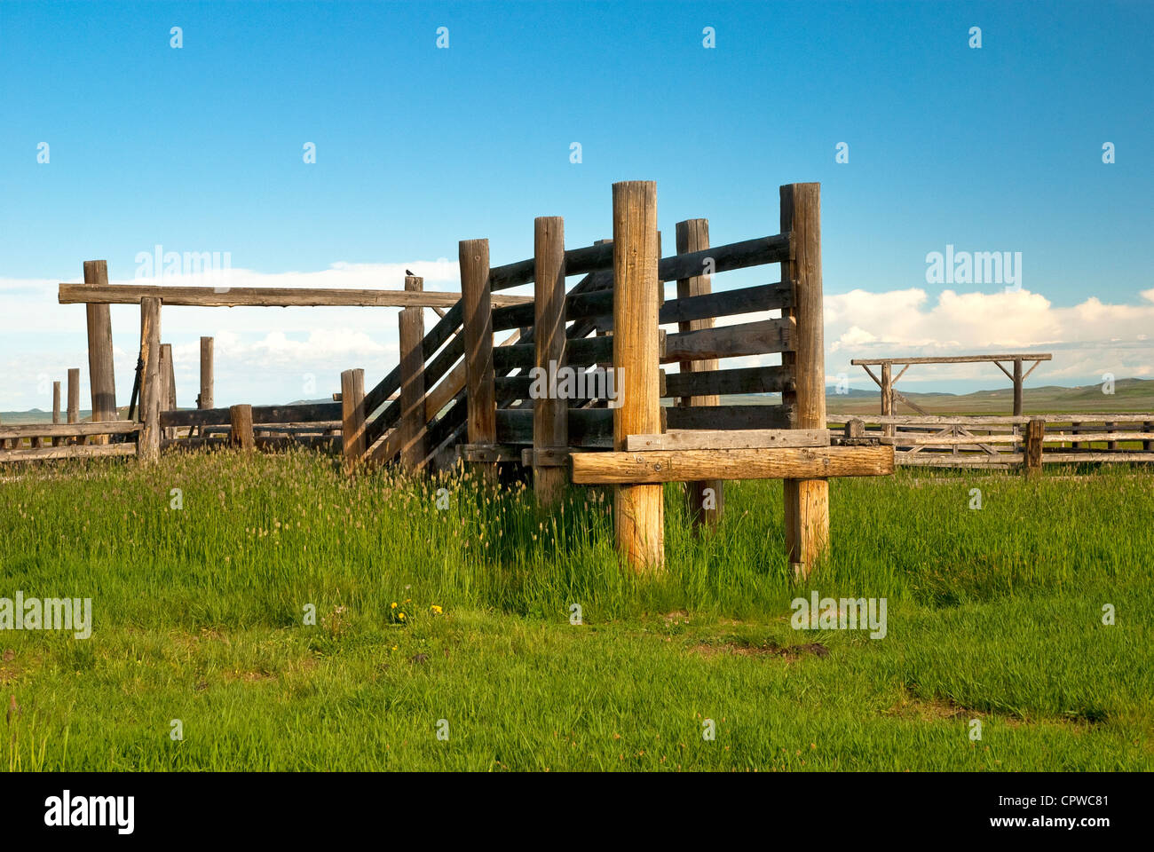 Fence post flowers hi-res stock photography and images - Alamy