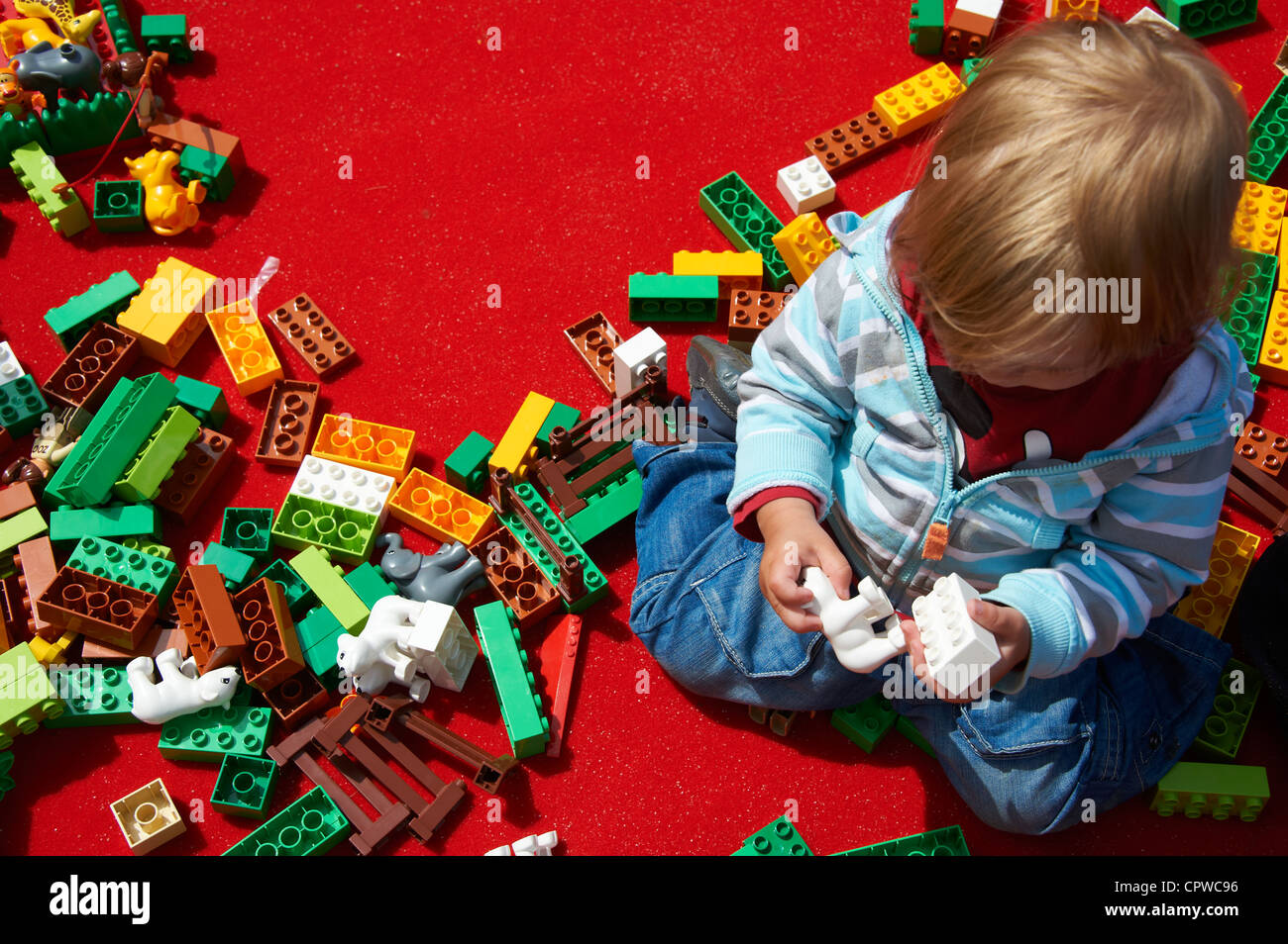 Little Baby Child Girl Playing With Building Blocks on Red Carpet Stock ...