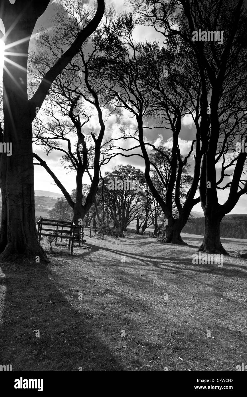 Norbury Black and White Stock Photos & Images - Alamy