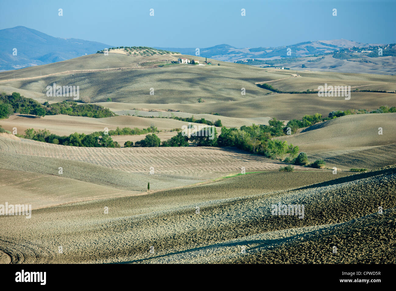 Undulating hills by San Quirico d'Orcia, in the Val D'Orcia area of ...