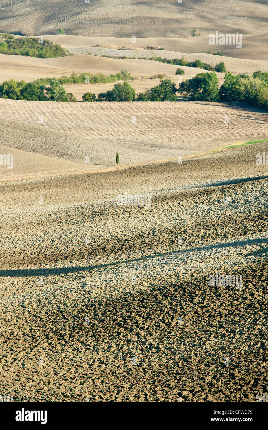 Undulating hills by San Quirico d'Orcia, in the Val D'Orcia area of ...