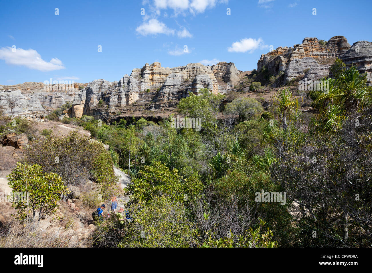 palm-lined oasis and sandstone cliffs, Isalo National Park, Ihorombe ...