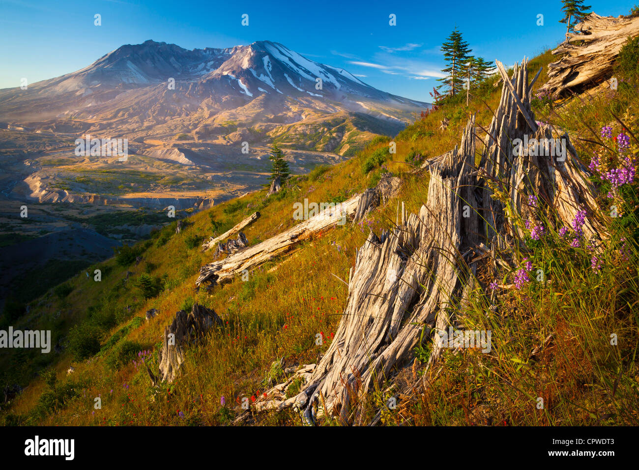 Mount St. Helens National Volcanic Monument Stock Photo - Alamy