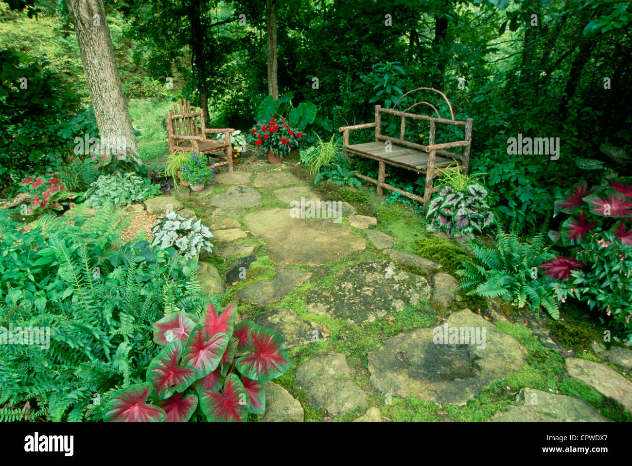 Shade garden with handmade rustic furniture and colorful caladium ...