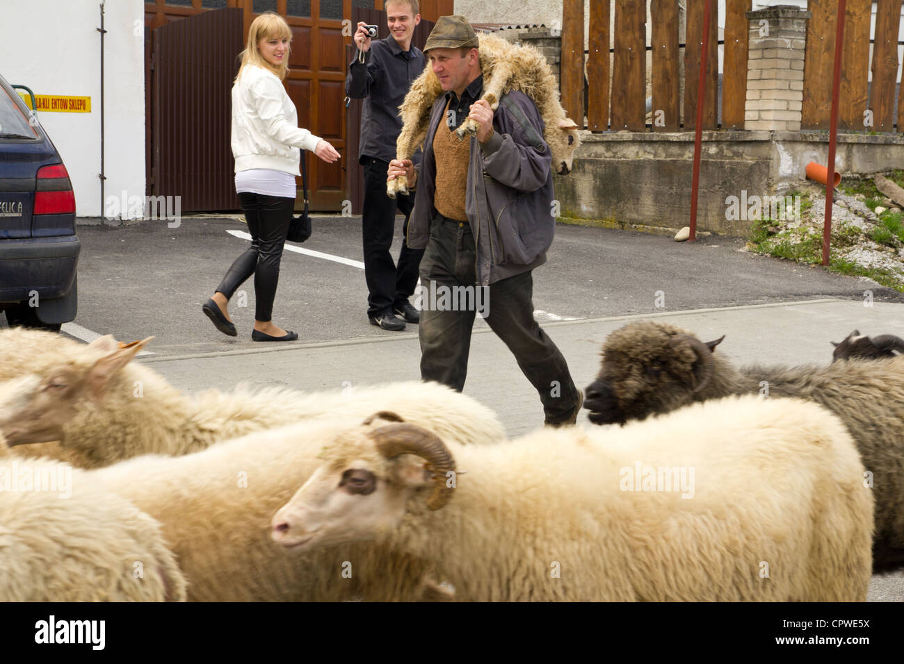 Polish shepherd hi-res stock photography and images - Alamy