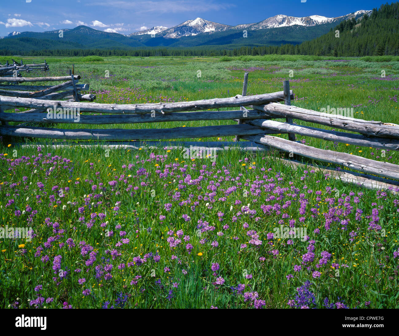 Sawtooth National Recreation Area, ID: Weathered rail fence in a meadow ...