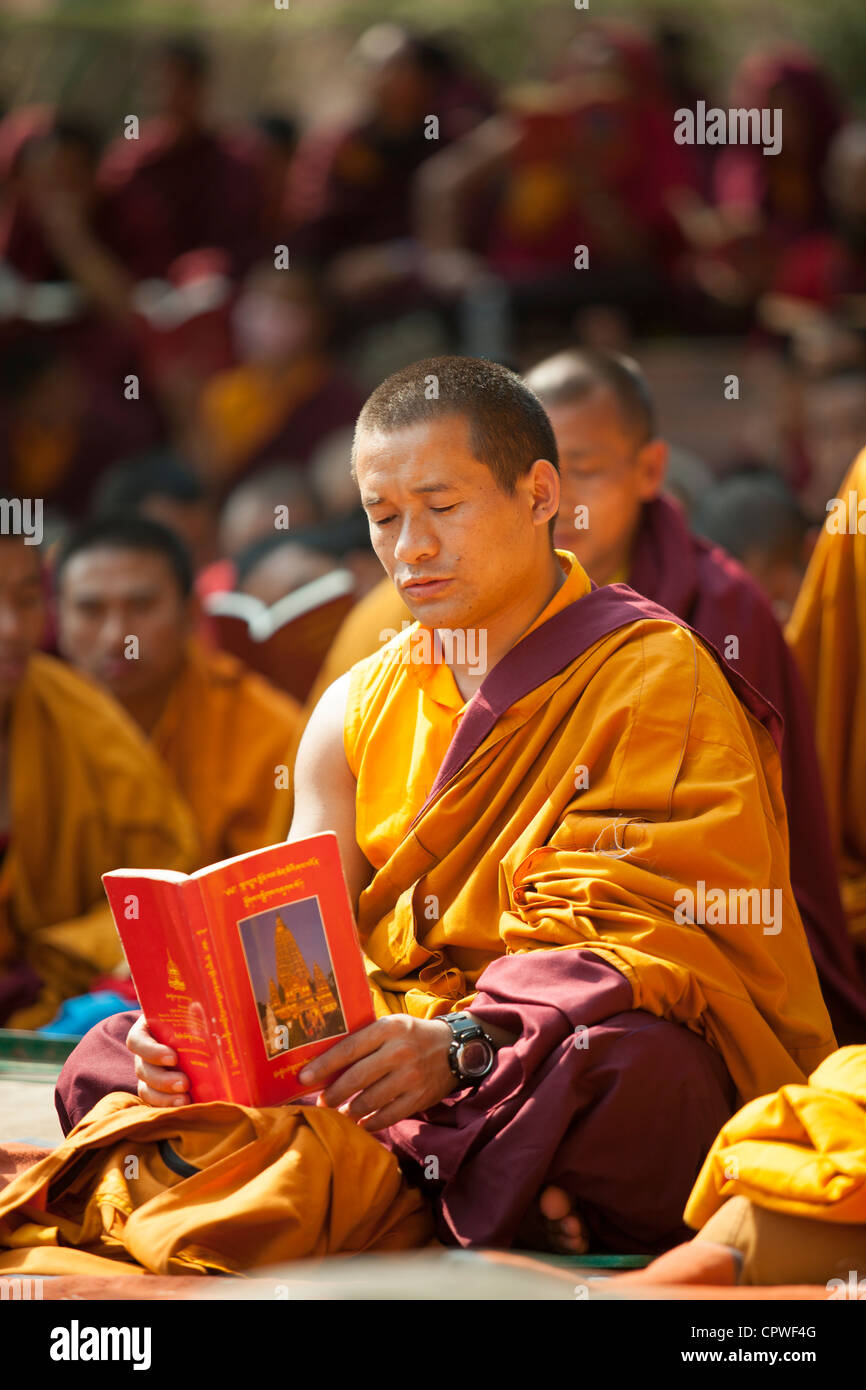 Portrait of Buddhist pilgrims reading scriptures books, Mahabodhi ...