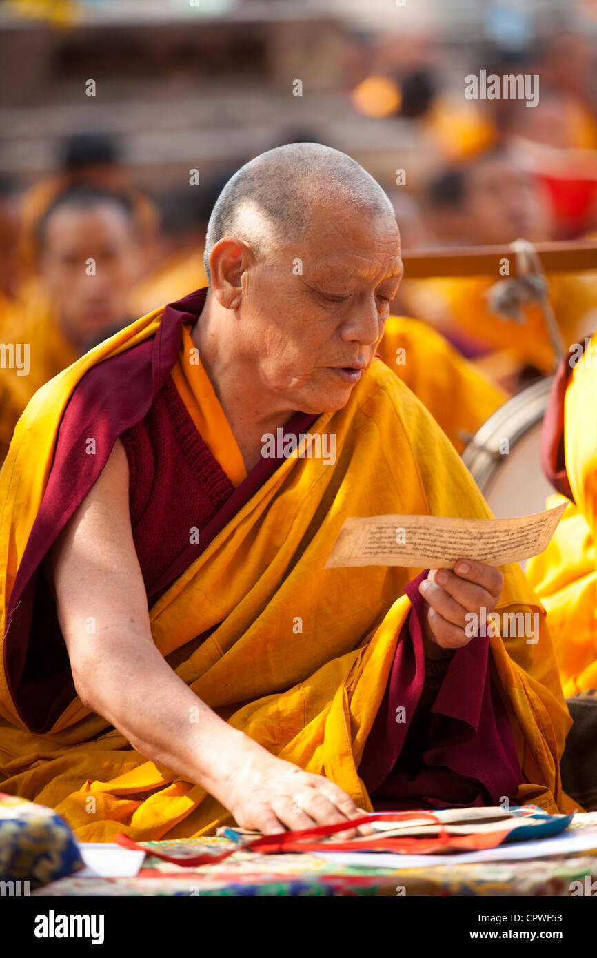 Portrait of Buddhist pilgrims reading scriptures books, Mahabodhi ...