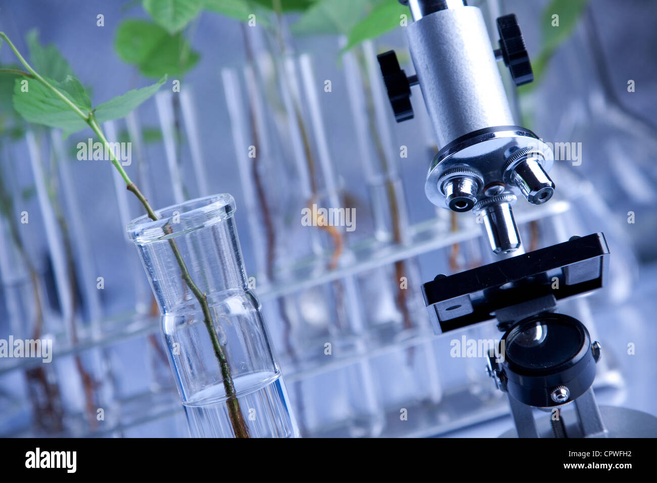 Plants in laboratory Stock Photo - Alamy