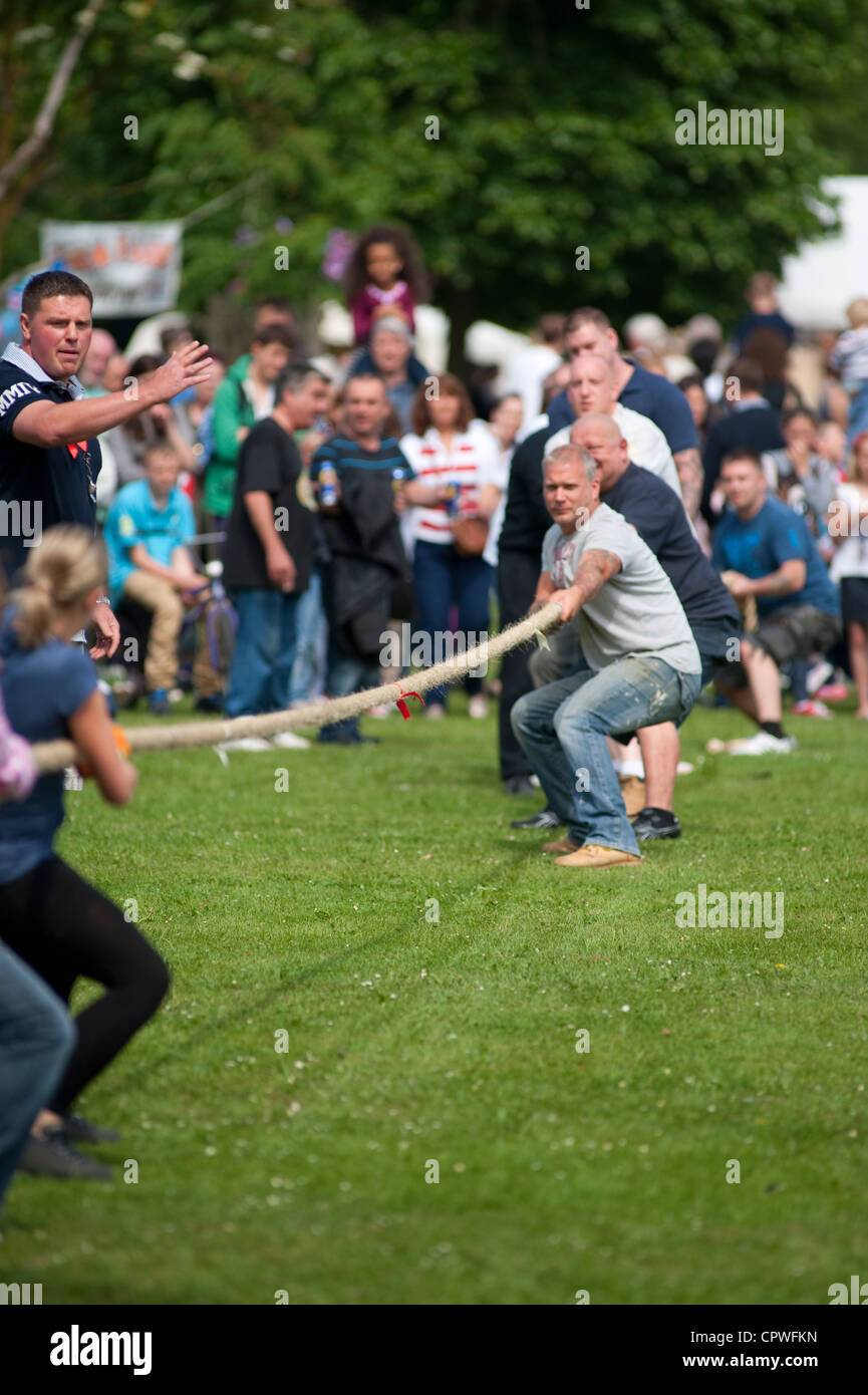 Ham common tug of war match rope teams competition hi-res stock ...