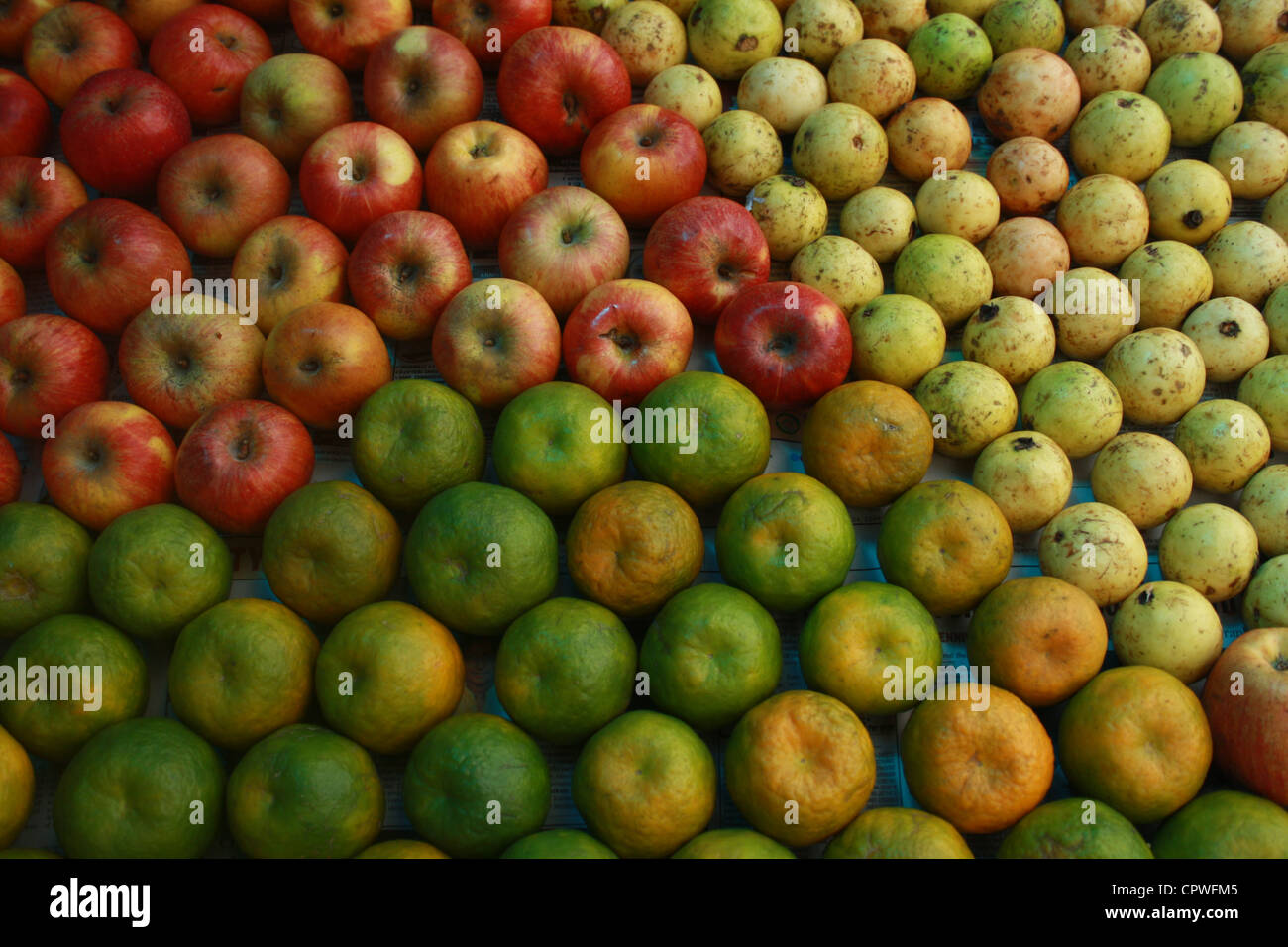 Blended fruits hi-res stock photography and images - Alamy