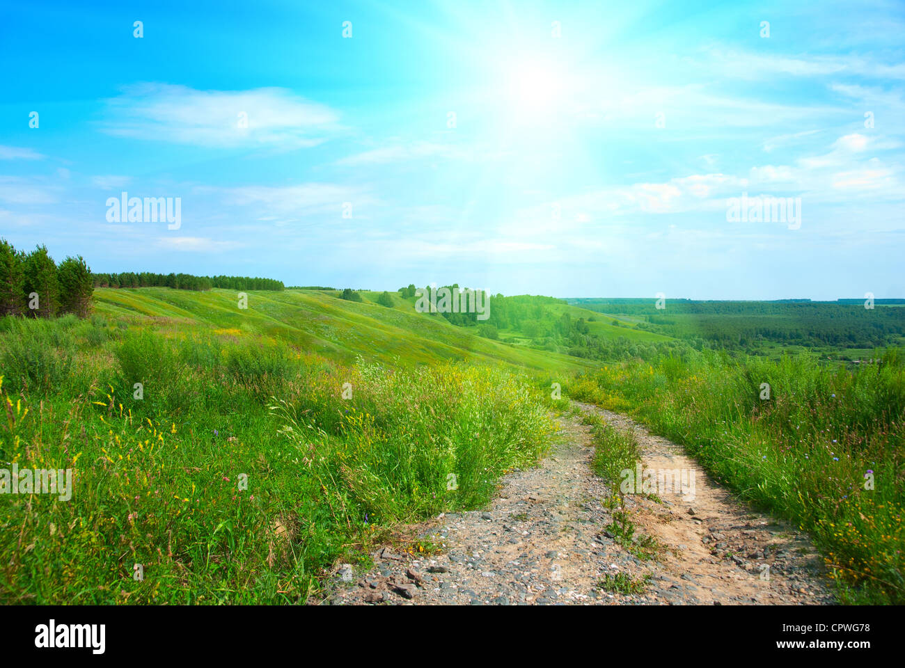 Summer landscape with green grass, road and clouds Stock Photo - Alamy