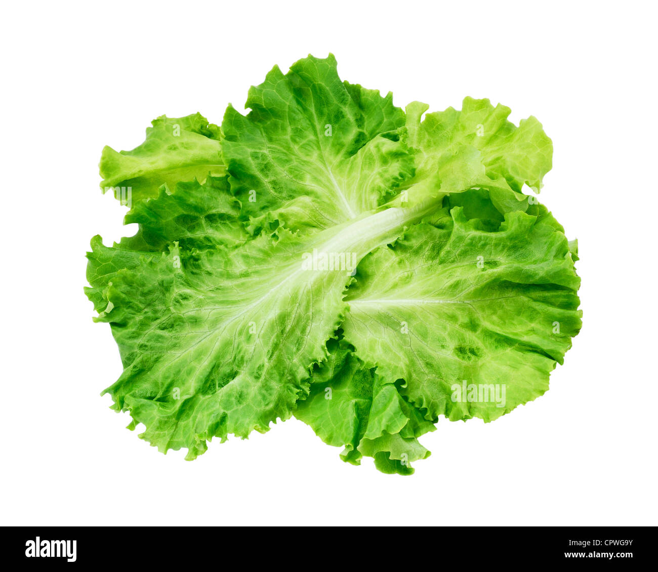 Fresh vibrant lettuce salad Cut Out Stock Images & Pictures - Alamy