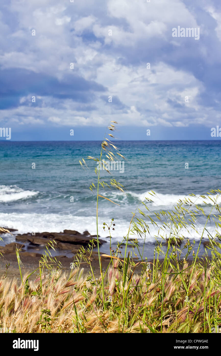 latchi beach near paphos in cyprus Stock Photo - Alamy