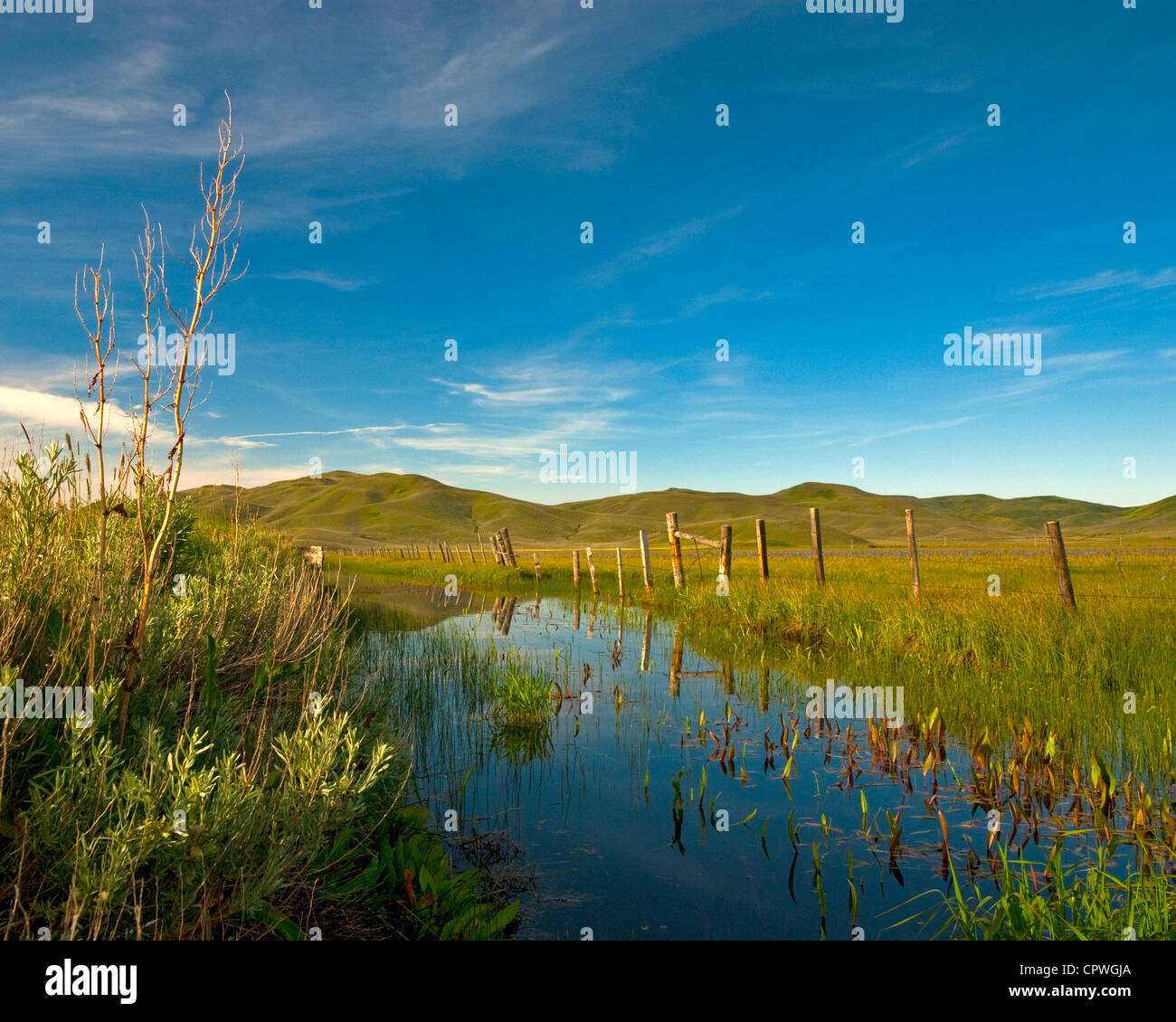 Stream field edge hi-res stock photography and images - Alamy