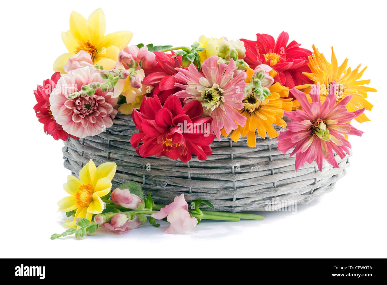July garden European flowers for the girlfriend in basket isolated ...