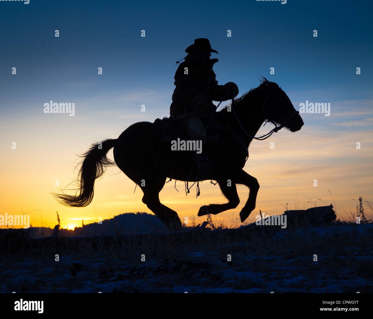 Cowboys on horses hi-res stock photography and images - Alamy