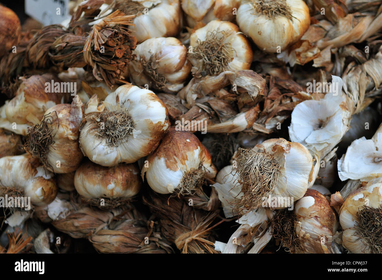 Brown garlic for sale Stock Photo - Alamy
