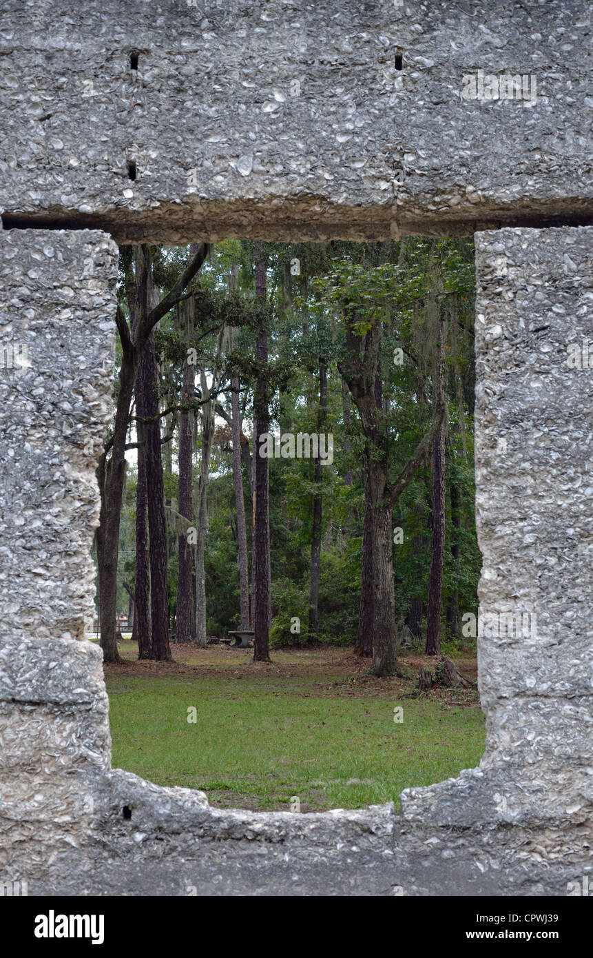 A framed view of the pine forest through window of tabby ruins Stock ...