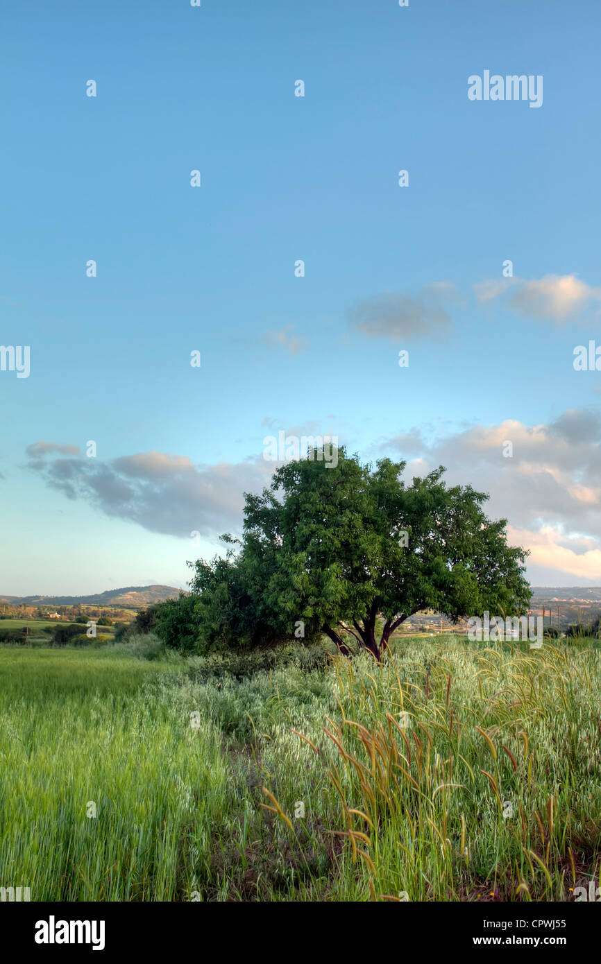 Polis beach cyprus hi-res stock photography and images - Alamy