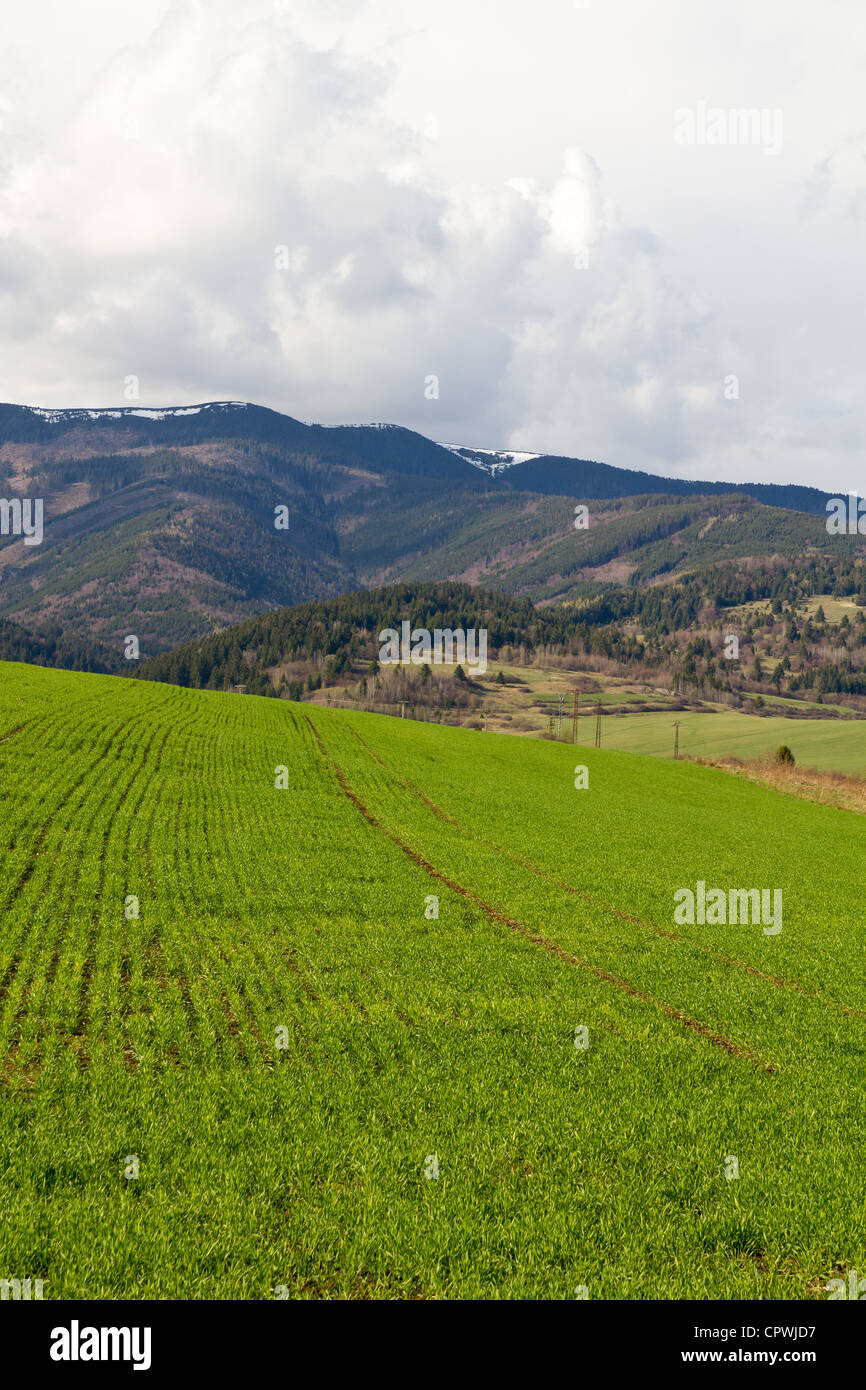 Field and mountains hi-res stock photography and images - Alamy