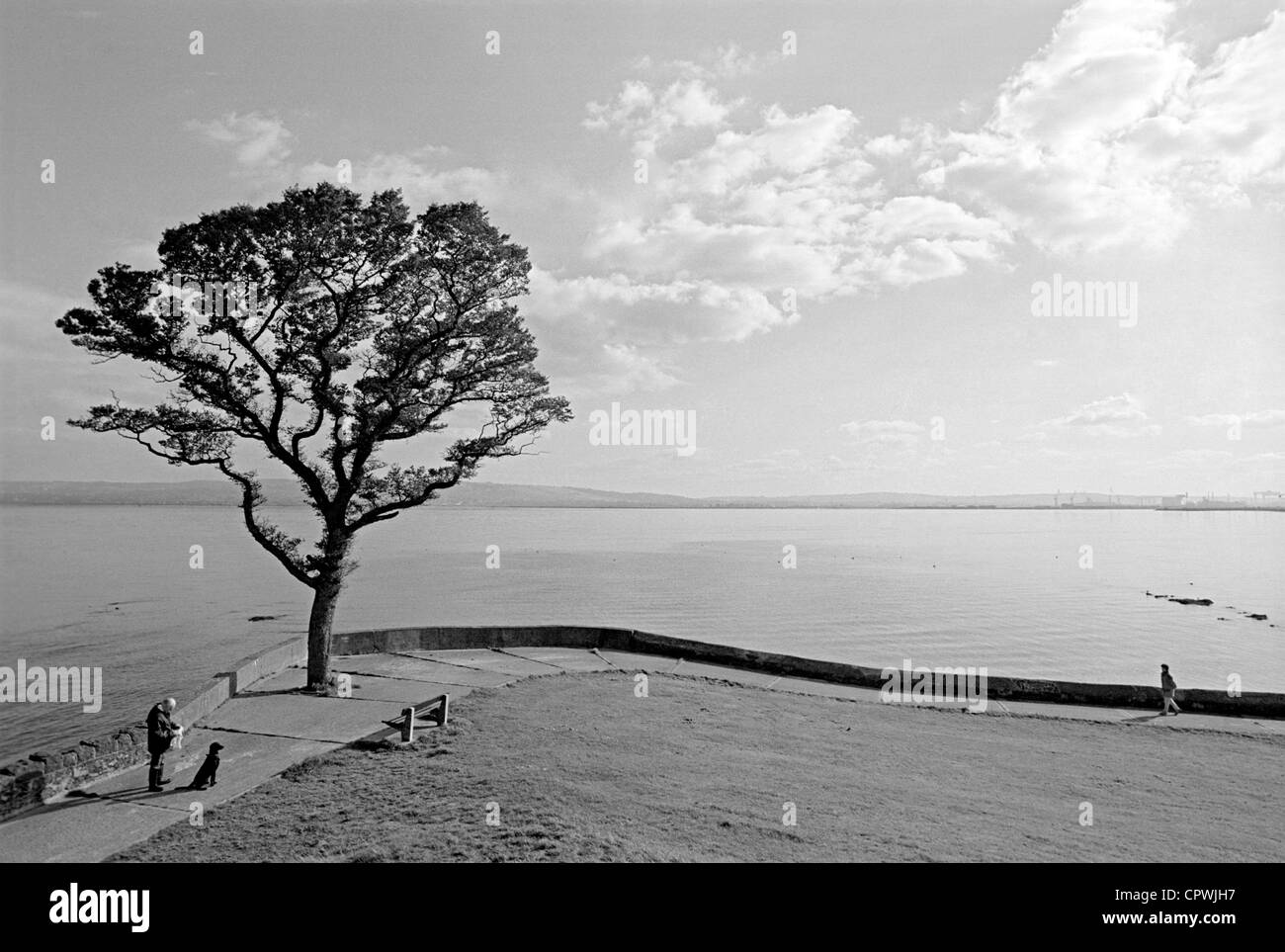 Whiteabbey hi-res stock photography and images - Alamy